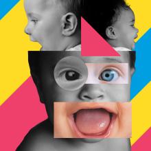 Development & Plasticity | Program in Fundamental Neuroscience (PFN)